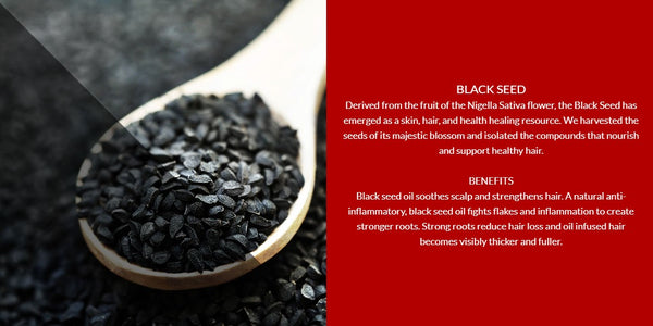 Revlon Realistic Strengthening Curl Revive+Twist Pudding+Edge Control ...